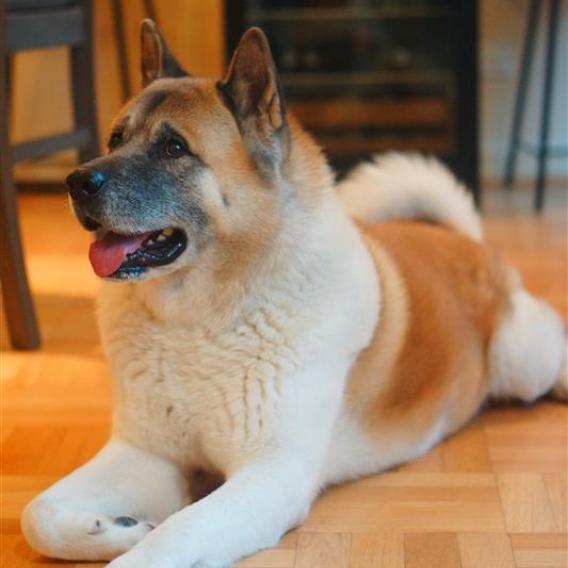 People | Li (Xiaochun) Lab | UT Southwestern, Dallas, Texas